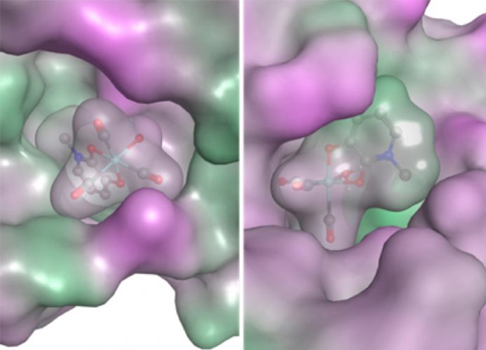 Metal-based fragment molecule library to screen for drug candidates