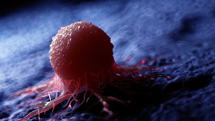 Cancer research - News, Articles, Whitepapers - Drug Target Review