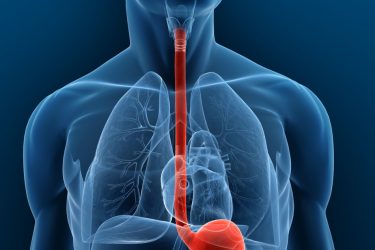 Tract Bio identifies drug targets for oesophageal cancer