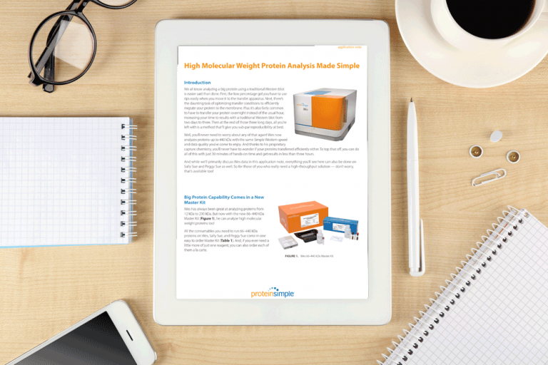 High Molecular Weight Protein Analysis Made Simple