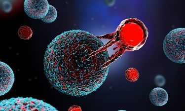 Blocking trogocytosis improves CAR T-cell therapy to treat cancer