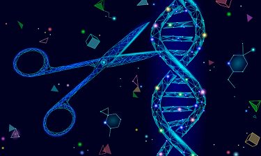 Nobel Prize in Chemistry awarded to discoverers of CRISPR-Cas9