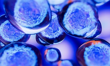 Scientists develop synthetic cell that grows and divides uniformly