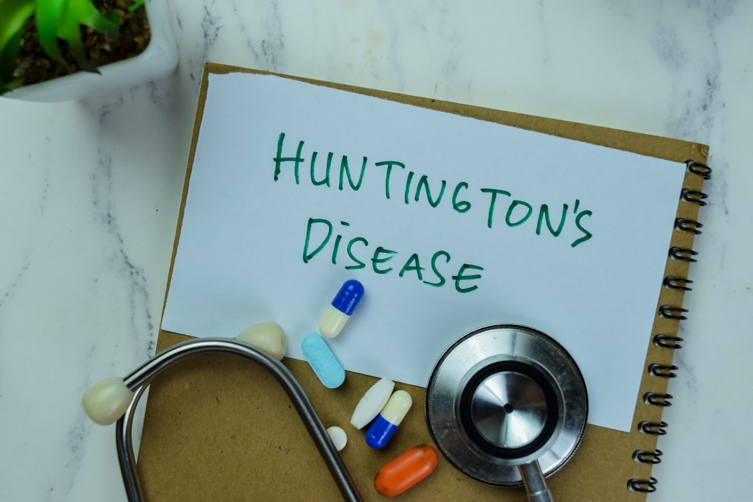 Novartis licenses innovative treatment for Huntington’s disease - Drug ...