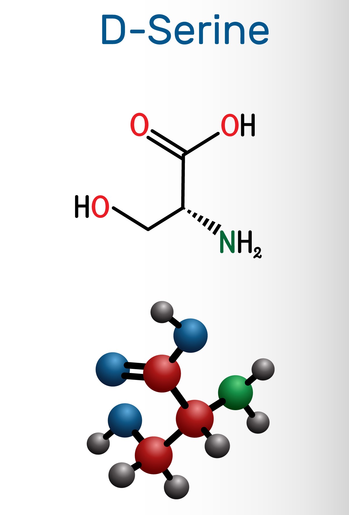 D-serine could protect against epileptic seizures - Drug Target Review