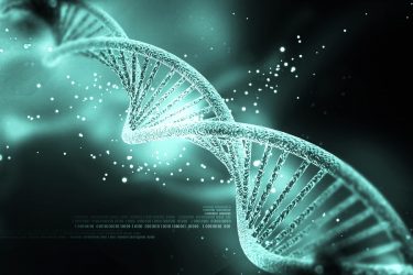 Imaging technique overturns longstanding DNA folding model