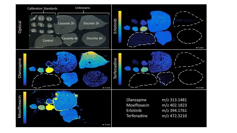 Mass spectrometry imaging in drug discovery