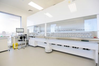 Upstream cell culture processes for the production of therapeutic proteins