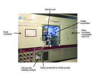 Translating stem cell biology into drug discovery