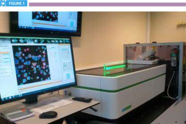 High-content imaging: challenges of the 3D world