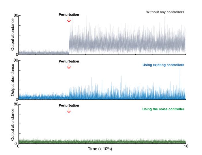 Controlling cellular noise may stop cancer and bacterial relapse - Drug ...