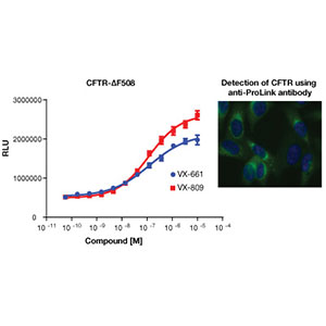 DiscoverX PathHunter® Pharmacochaperone Trafficking Assays