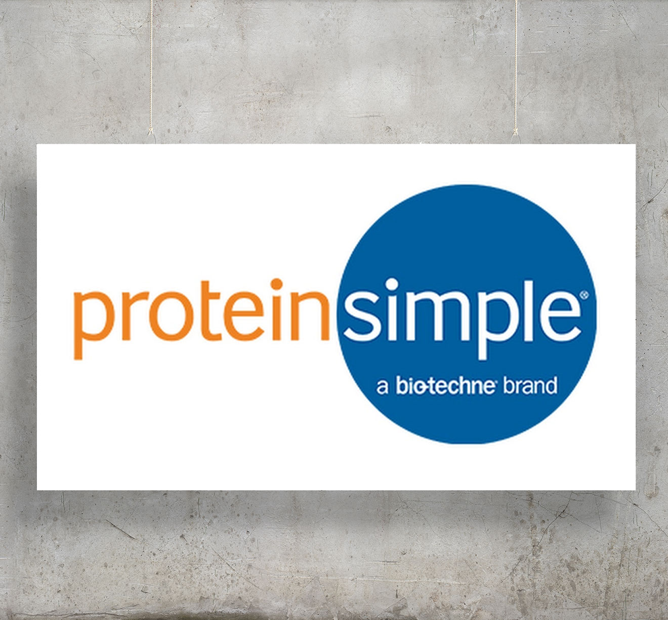 ProteinSimple - Drug Target Review