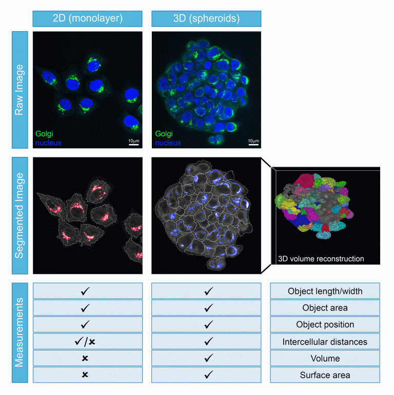 Data, data and still more data: the challenges of imaging and analysing ...