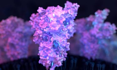 Spike mutation makes SARS-CoV-2 up to eight times more infectious