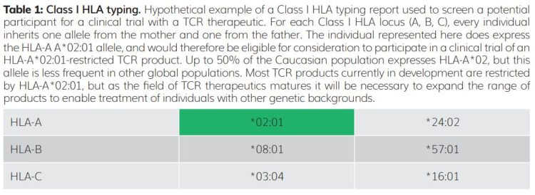 How T-cell receptors facilitate new class of cancer therapeutics