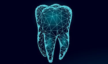 First comprehensive single-cell atlas of human teeth compiled