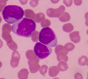 Herman O. Sintim - News, Articles, Whitepapers - Drug Target Review