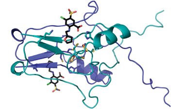 Crystals mapped to advance treatments for stroke, diabetes and dementia