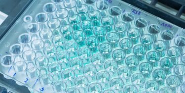 High-throughput screening platforms incorporating physiologically ...