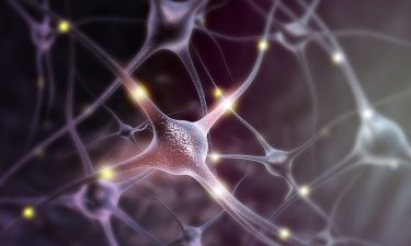 Ageing hallmark in neurons discovered by biologists - Drug Target Review