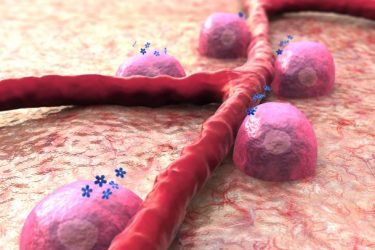 Optogenetics used to control diabetes without medication