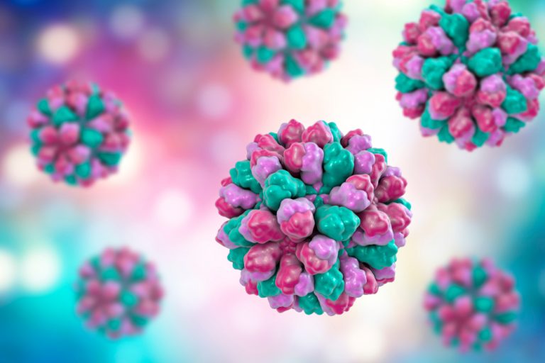 Norovirus structure imaged, providing potential for vaccine development