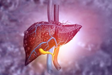 Lab-grown liver breakthrough could speed up drug development - Drug ...