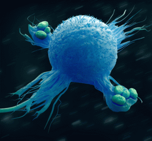 Nature Cell Biology - News, Articles, Whitepapers - Drug Target Review