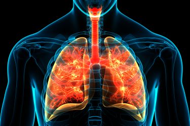 Nasal spray gene therapy shows potential to treat lung diseases - Drug Target Review