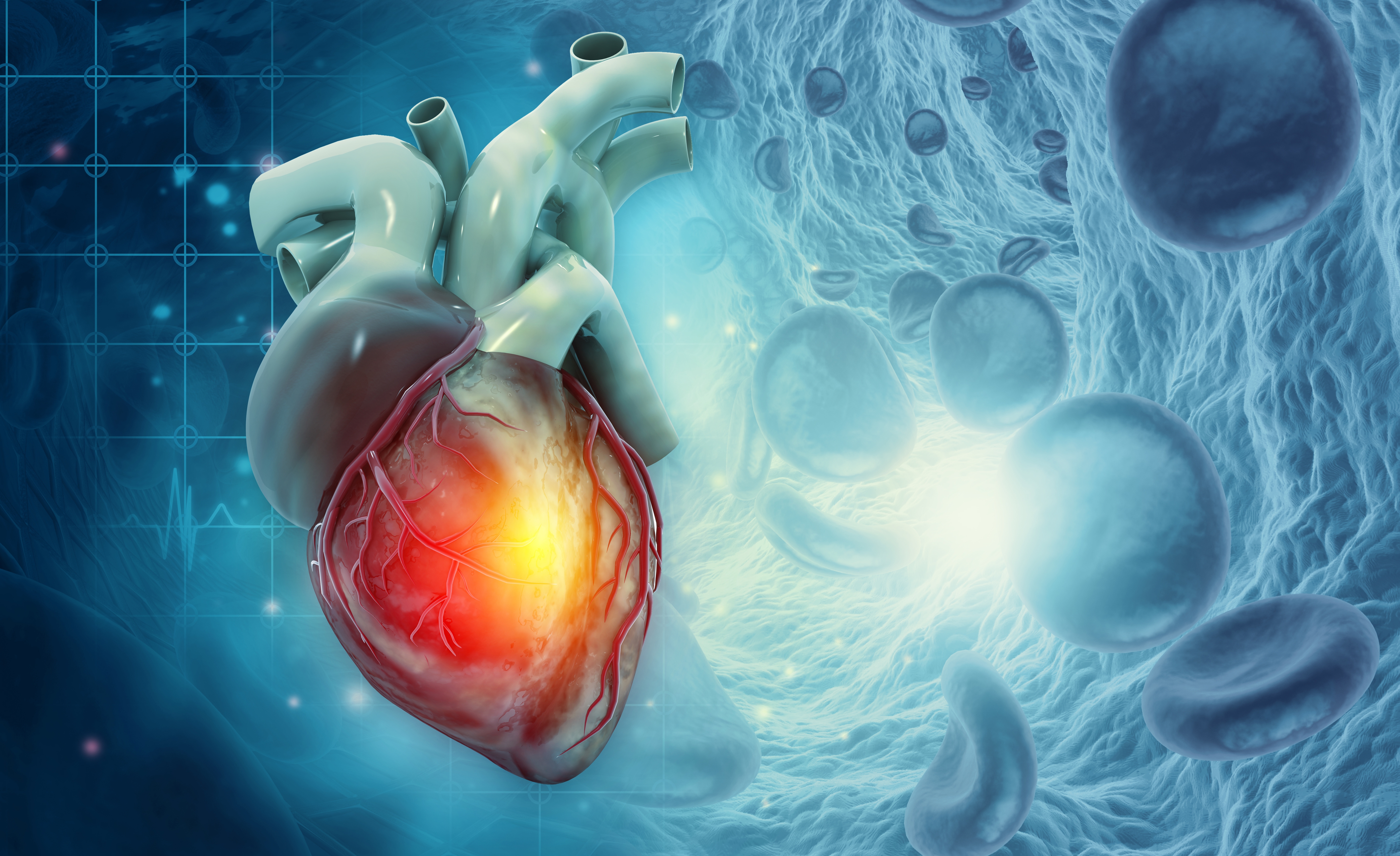 Magnetic stimulation advances heart organoids for future therapies ...