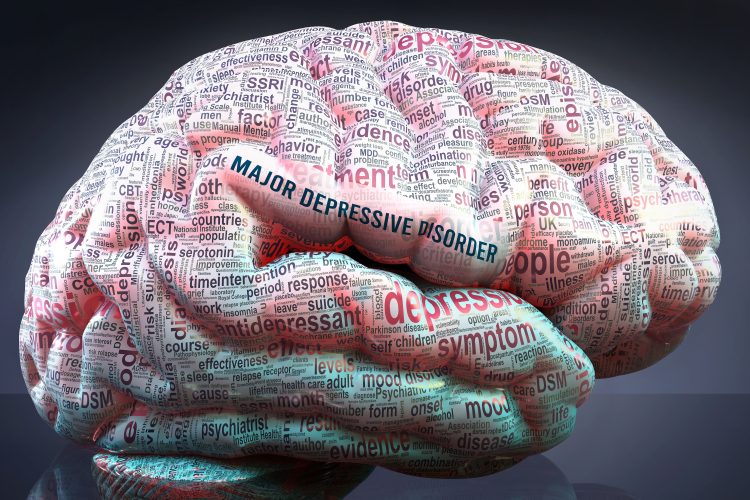 New study revives long-doubted target for depression drugs - Drug ...