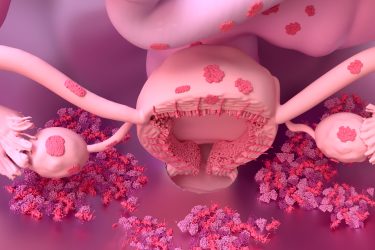 Most comprehensive human endometrium map created