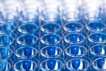 Research & Development - News, Articles, Whitepapers - Drug Target Review