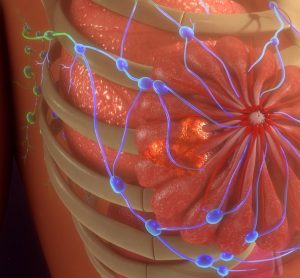 Professor Neta Erez - News, Articles, Whitepapers - Drug Target Review