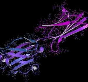 Weiping Zou - News, Articles, Whitepapers - Drug Target Review