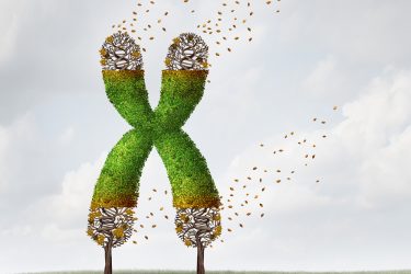 Two-step process leads to cell immortalisation and cancer