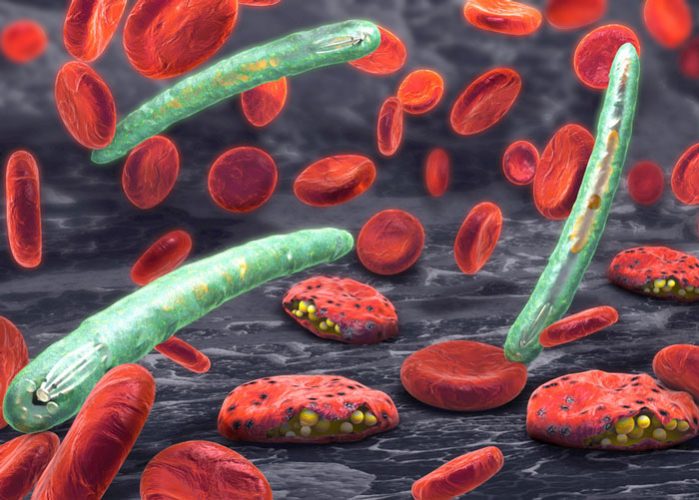 Five new malaria targets that could lead to an effective vaccine