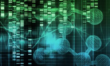 Using single-cell RNA sequencing to track stem cell development